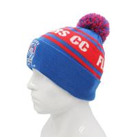 China Custom Embroidery Logo Unisex Knitted Winter Warm Beanie 100% Acrylic 58cm for sale