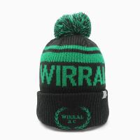 China Custom Embroidery Fleece Lined Winter Beanie Hat 100% Acrylic 58cm Unisex Warm Sports Cap for sale