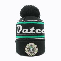 China Custom Color Unisex Acrylic Skull Cap Knitted Beanie Winter Ski Hat Embroidery 58cm for sale