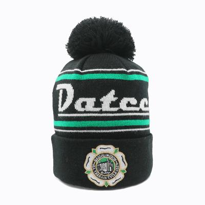 China Custom Color Unisex Acrylic Skull Cap Knitted Beanie Winter Ski Hat Embroidery 58cm for sale
