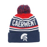 China Custom 100% Acrylic Beanie with Embroidered Logo 58cm Size for Sports for sale