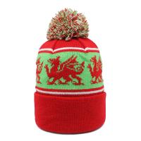 China Custom Jacquard Knit Pom Beanie 58cm Acrylic Winter Hat with Embroidery Logo for sale