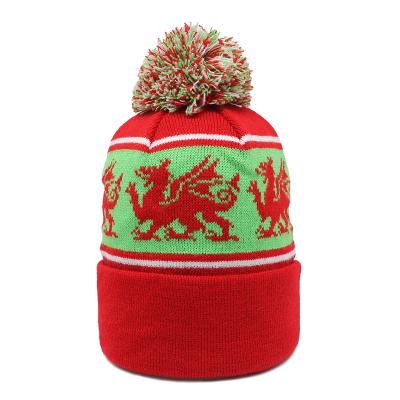 China Custom Jacquard Knit Pom Beanie 58cm Acrylic Winter Hat with Embroidery Logo for sale
