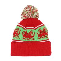 China Custom Jacquard Knit Pom Beanie 58cm Acrylic Winter Hat with Embroidery Logo for sale