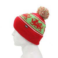 China Custom Jacquard Knit Pom Beanie 58cm Acrylic Winter Hat with Embroidery Logo for sale