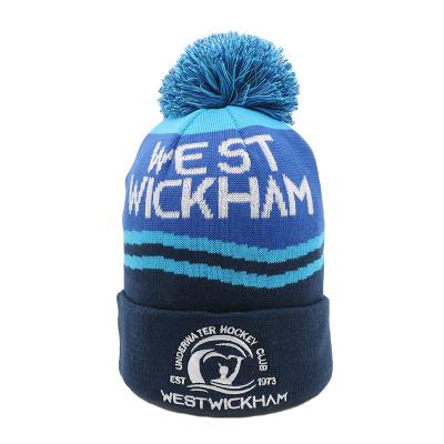 China Custom Size Eco Friendly Beanie Hat 58cm Acrylic Knit Skulls Beanie with Embroidery Logo for sale