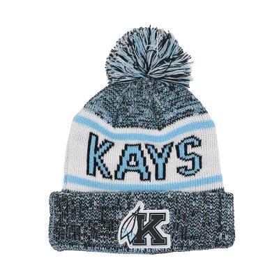 China COMMON Fabric Feature Custom Logo Embroidered Beanie Knitting Hats for sale