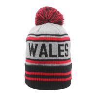 China Custom Size 100% Acrylic Skull Knitted Beanie with Embroidery Logo for Winter for sale