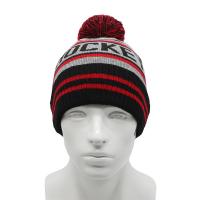 China Custom Size 100% Acrylic Skull Knitted Beanie with Embroidery Logo for Winter for sale