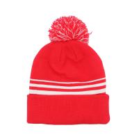 China OEM Custom Acrylic Embroidery Logo Skull Knitted Hat 58cm for Skiing Snowboarding for sale