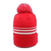 China OEM Custom Acrylic Embroidery Logo Skull Knitted Hat 58cm for Skiing Snowboarding for sale