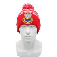 China OEM Custom Acrylic Embroidery Logo Skull Knitted Hat 58cm for Skiing Snowboarding for sale