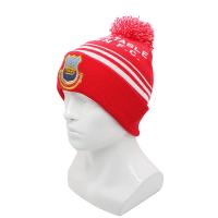 China OEM Custom Acrylic Embroidery Logo Skull Knitted Hat 58cm for Skiing Snowboarding for sale