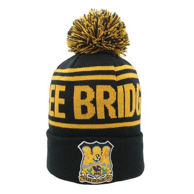 China Custom 100% Cotton Embroidery Beanie Unisex Winter Hat 58cm Size OEM ODM for sale