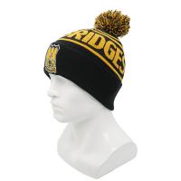 China Custom 100% Cotton Embroidery Beanie Unisex Winter Hat 58cm Size OEM ODM for sale
