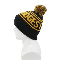 China Custom 100% Cotton Embroidery Beanie Unisex Winter Hat 58cm Size OEM ODM for sale