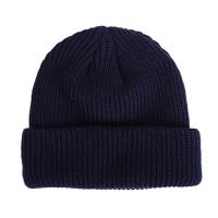 China Custom Wool Acrylic Skate Beanie with Cuff 56-60cm Adult Unisex Winter Hat for sale