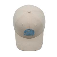 China Bulk Outdoor Adjustable Dad Hat Embroidery Logo For All Seasons for sale