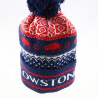 China Custom Winter Knit Beanie with Bobble for Teams Unisex 58cm Acrylic Wool for sale