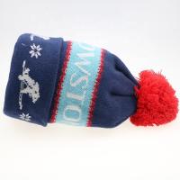 China Custom Winter Knit Beanie with Bobble for Teams Unisex 58cm Acrylic Wool for sale
