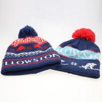China Custom Winter Knit Beanie with Bobble for Teams Unisex 58cm Acrylic Wool for sale