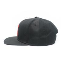 China 48CM Animal Pattern 6 Panel Snapback Caps Flat Peak Baseball Cap For Men Women for sale