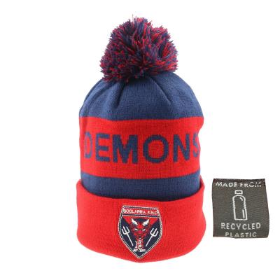 China Custom RPET Beanie Hat Winter Knitted Sports Hat for Adults 22x33cm Recycled Plastic for sale