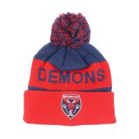China Custom RPET Beanie Hat Winter Knitted Sports Hat for Adults 22x33cm Recycled Plastic for sale