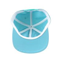 China 6 Panel Baseball Cap Performance Dad Hat Felt Flat Bill Snapback Cap Hats Four Seasons for sale