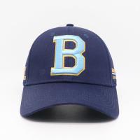China Custom Cotton 3D Embroidered Logo Dad Hat 6 Panel Baseball Hat For All Headwear Needs for sale