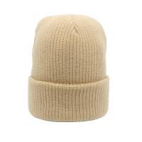 China Leather Patch Beanie Knitted Hat Winter Hats Fisherman Beanie COMMON Fabric Feature for sale