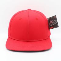 China Waterproof Snapback 6 Panel Baseball Snapback Hat Hip Hop Hats Fabric Cotton Hats for sale