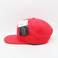 China Waterproof Snapback 6 Panel Baseball Snapback Hat Hip Hop Hats Fabric Cotton Hats for sale
