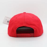 China Waterproof Snapback 6 Panel Baseball Snapback Hat Hip Hop Hats Fabric Cotton Hats for sale