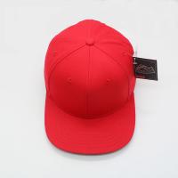 China Waterproof Snapback 6 Panel Baseball Snapback Hat Hip Hop Hats Fabric Cotton Hats for sale