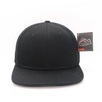 China Acrylic Hip Hop Sports Cap Sunshade Hat 6 Panel Snapback Hat Flat Brim Cap for sale