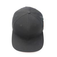 China Acrylic Hip Hop Sports Cap Sunshade Hat 6 Panel Snapback Hat Flat Brim Cap for sale