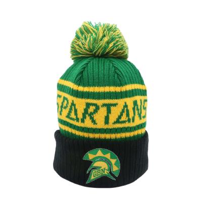 China Custom Embroidered Logo Acrylic Winter Knitted Beanie Hat 58cm for Sports for sale