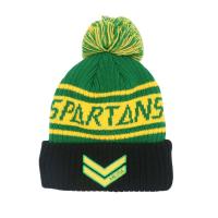 China Custom Embroidered Logo Acrylic Winter Knitted Beanie Hat 58cm for Sports for sale