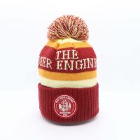 China Adults Warm Winter Knitted Cap With Custom Logo And Comfortable 100% Acrylic Material for sale