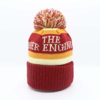 China Adults Warm Winter Knitted Cap With Custom Logo And Comfortable 100% Acrylic Material for sale