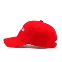 China Custom Embroidery Logo RPET Fabric Sustainable Cotton Twill Baseball Cap 58cm for sale