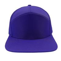 China Unisex Polyester Blank 7 Panel Perforated Hat With Custom Embroidery And Laser Cut Hole for sale