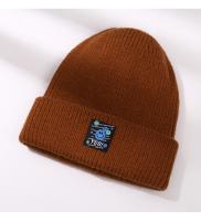 China Knitted Winter Hat Made From Recycled PET Bottles With Woven Patch And Custom Design for sale