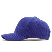 China Winter Gorras 6 Panel Embroidery Plain Structured Corduroy Hat With Discharge Printing for sale