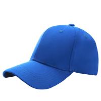 China Custom Twill Cotton 6 Panel Structured Curved Brim Trucker Hats for Men Women for sale