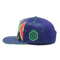 China Custom Logo Camouflage Snapback Hat Flat Brim Baseball Cap One Size Cotton for sale