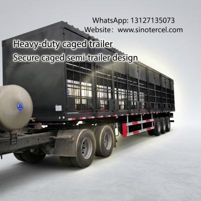 China FUWA 3-Axle Caged Semi-Trailer Robust Structure Enhanced Ventilation for Efficient Livestock Hauling for sale