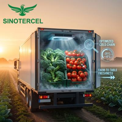 China Frozen Food Refrigerated Semi Trailer 39000kg Semi Freezer Trailer For Vegetables for sale