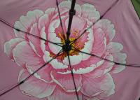China Introducing The World's First Electric Umbrella With UPF50 UV Protection 53.5 Cm * 6 Ribs for sale